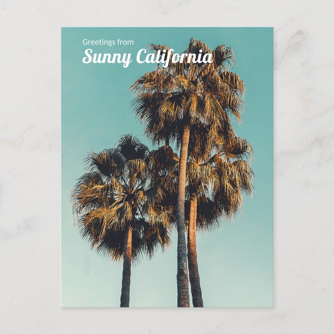 Greetings from Sunny California Holiday Postcard | Zazzle