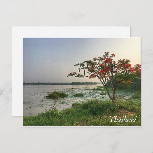 Greetings from Thailand Postcard | Zazzle