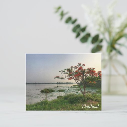 Greetings from Thailand Postcard | Zazzle