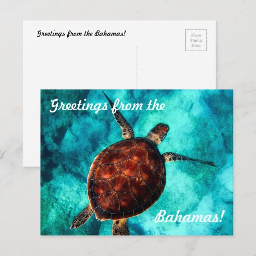 Greetings from the Bahamas Postcard | Zazzle