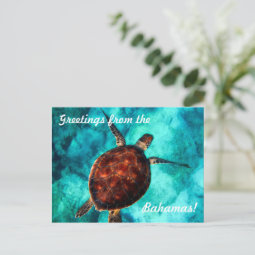Greetings from the Bahamas Postcard | Zazzle