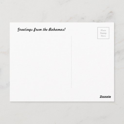 Greetings from the Bahamas Postcard | Zazzle