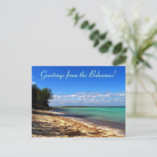 Greetings from the Bahamas! Postcard | Zazzle
