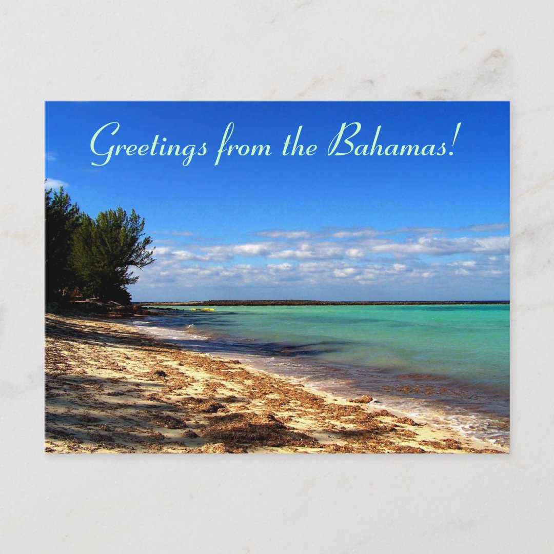 Greetings from the Bahamas! Postcard | Zazzle