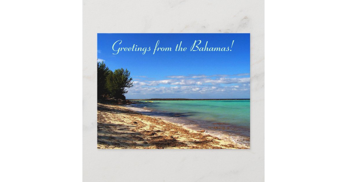 Greetings from the Bahamas! Postcard | Zazzle
