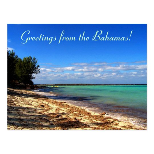 Greetings from the Bahamas! Postcard | Zazzle.com
