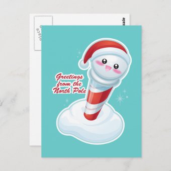 Greetings from the North Pole Postcard | Zazzle