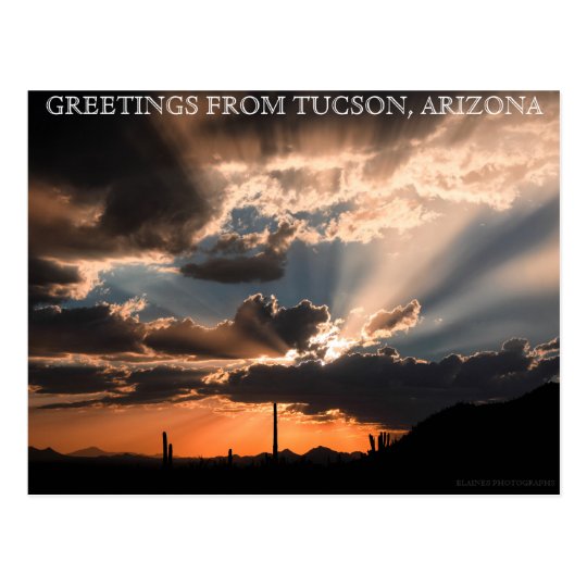 GREETINGS FROM TUCSON, ARIZONA POSTCARD | Zazzle.com