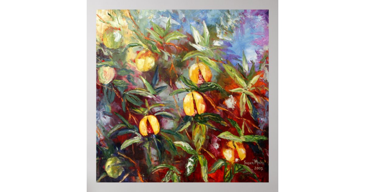 Grenada Nutmeg Poster | Zazzle