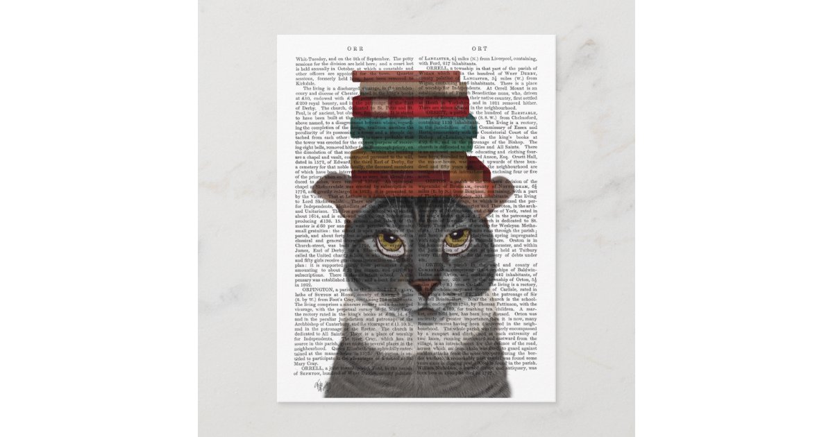 Grey Cat with Books on Head Postcard | Zazzle