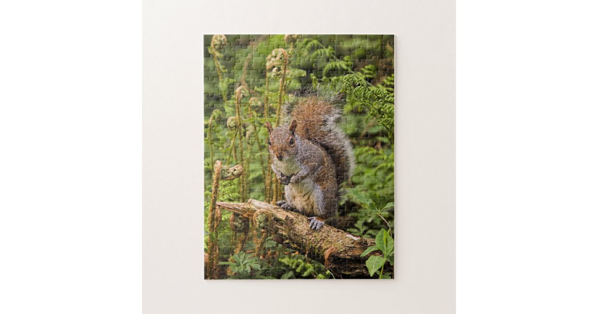 Grey Squirrel Puzzle/Jigsaw Jigsaw Puzzle | Zazzle