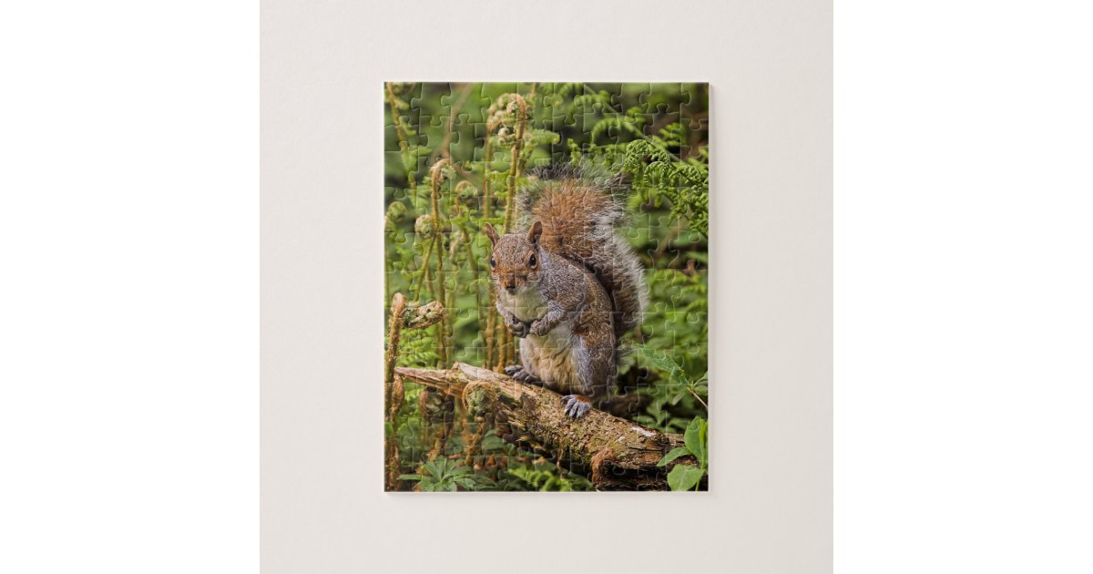 Grey Squirrel Puzzle/Jigsaw with Tin Jigsaw Puzzle | Zazzle