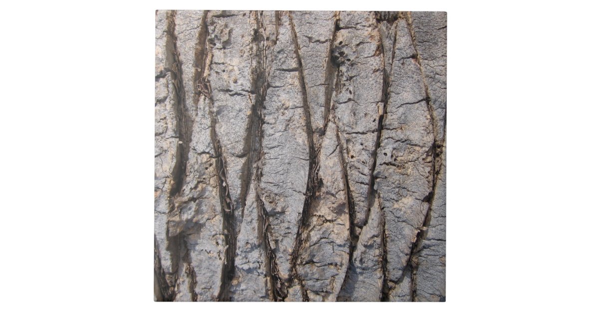Grey tree bark texture tile | Zazzle