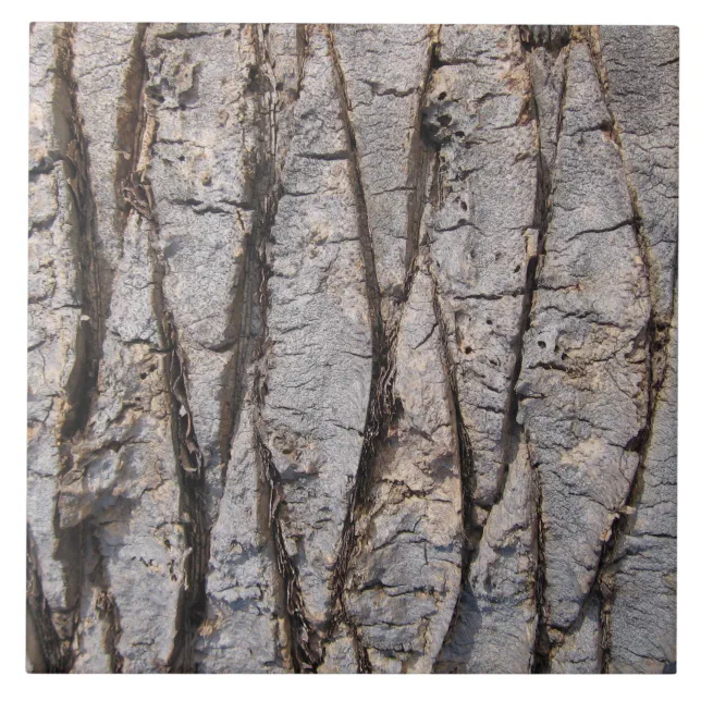 Grey tree bark texture tile | Zazzle