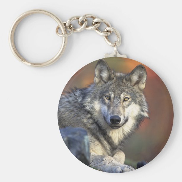 Wolf Keychains - No Minimum Quantity | Zazzle