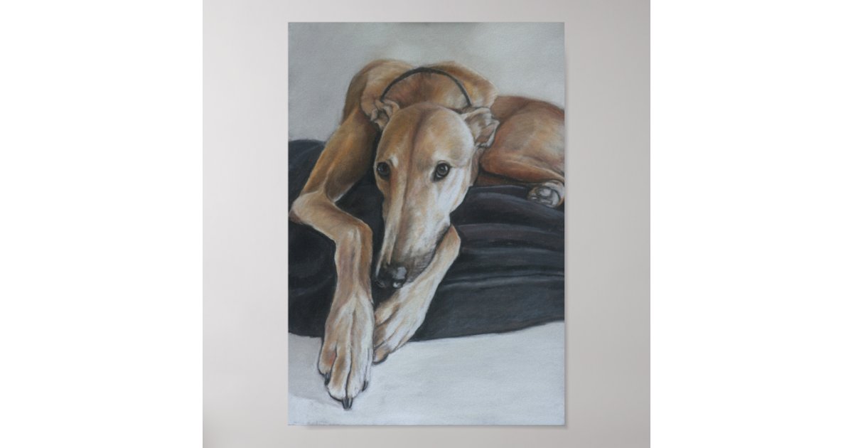 Greyhound Art Print | Zazzle