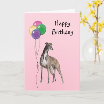 Greyhound, Birthday Balloons Card | Zazzle