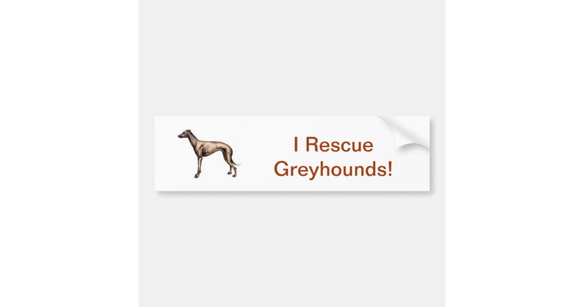 Greyhound Bumper Sticker | Zazzle