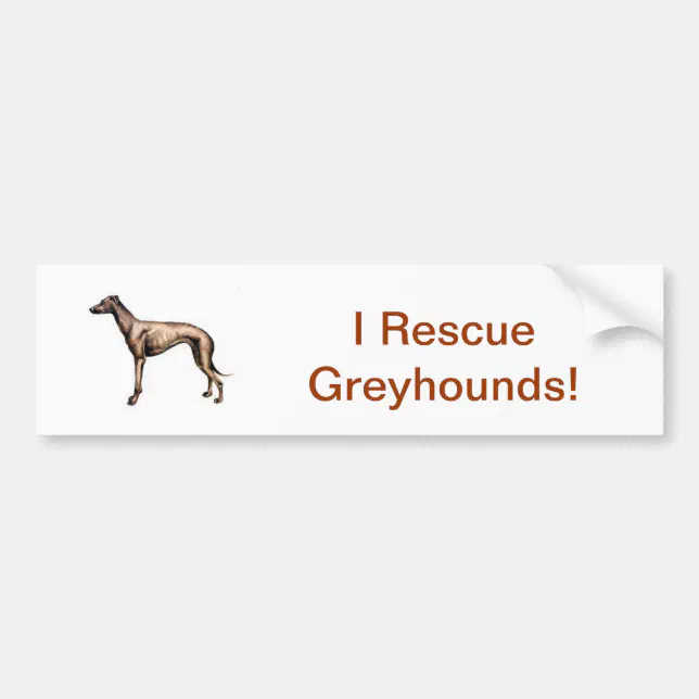 Greyhound Bumper Sticker | Zazzle