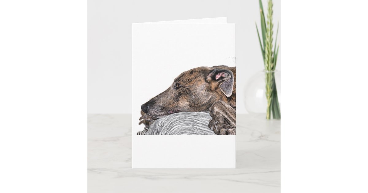 greyhound card | Zazzle