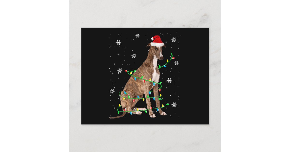 greyhound christmas light cute santa greyhound announcement postcard ...