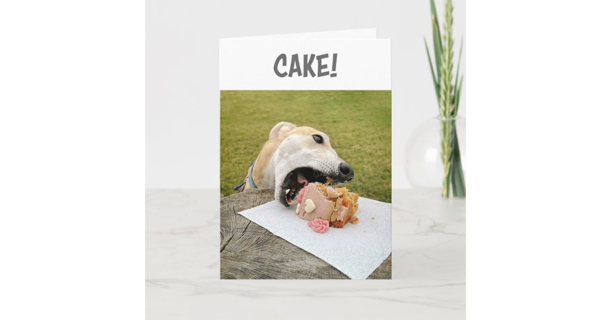 Greyhound Dog Birthday Cake Card | Zazzle