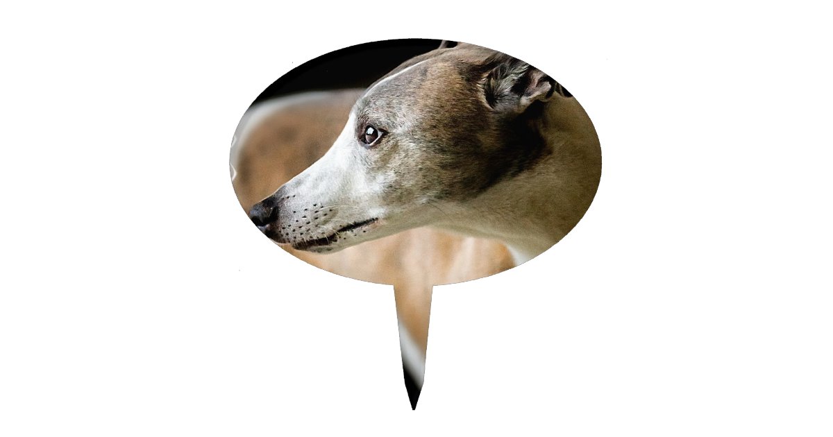 Greyhound Dog Cake Topper | Zazzle