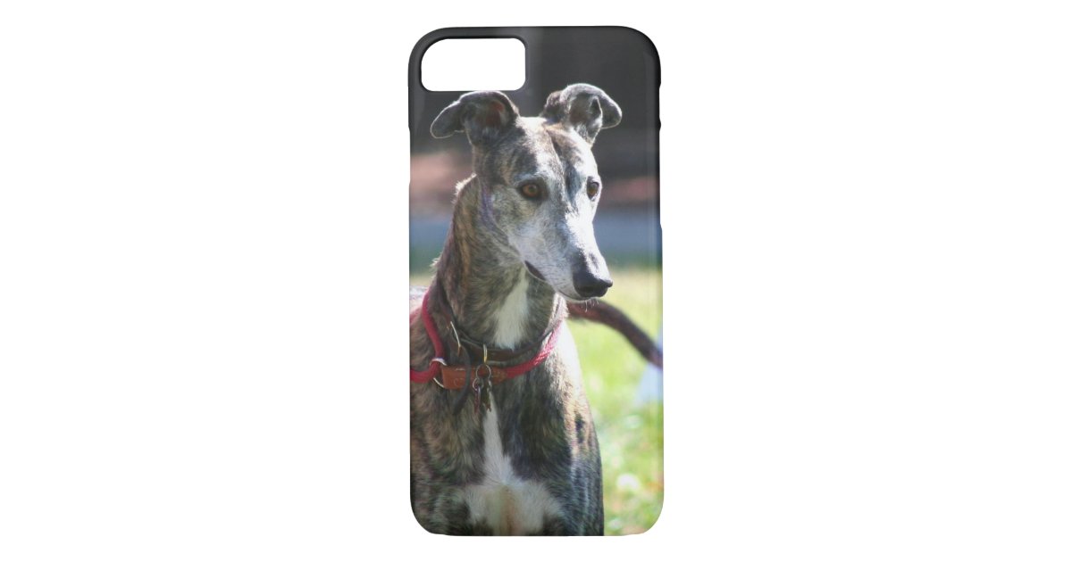 Greyhound dog Case-Mate iPhone case | Zazzle
