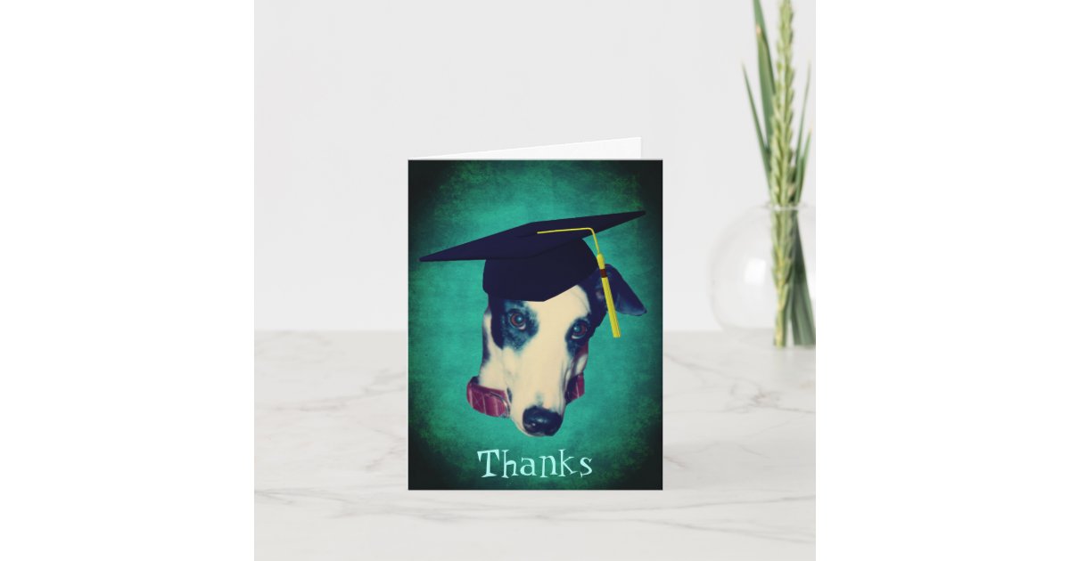 Greyhound Dog In Graduation Cap Thank You Card | Zazzle