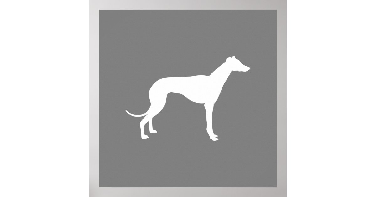 Greyhound Dog Poster | Zazzle