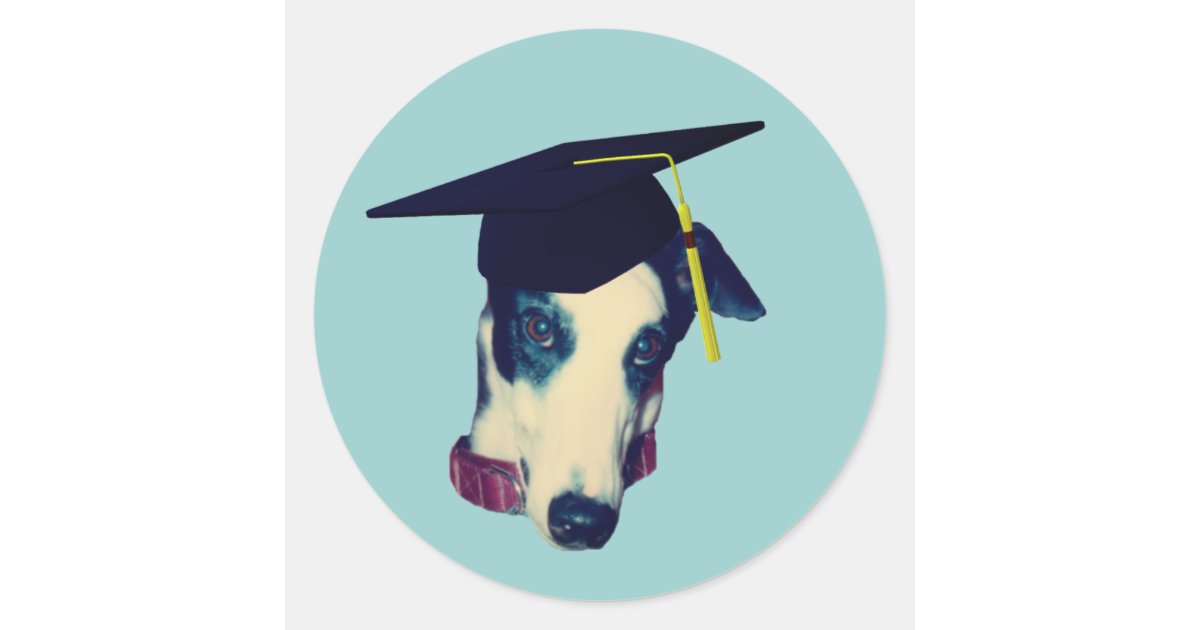 Greyhound Graduation Cap Funny Classic Round Sticker | Zazzle
