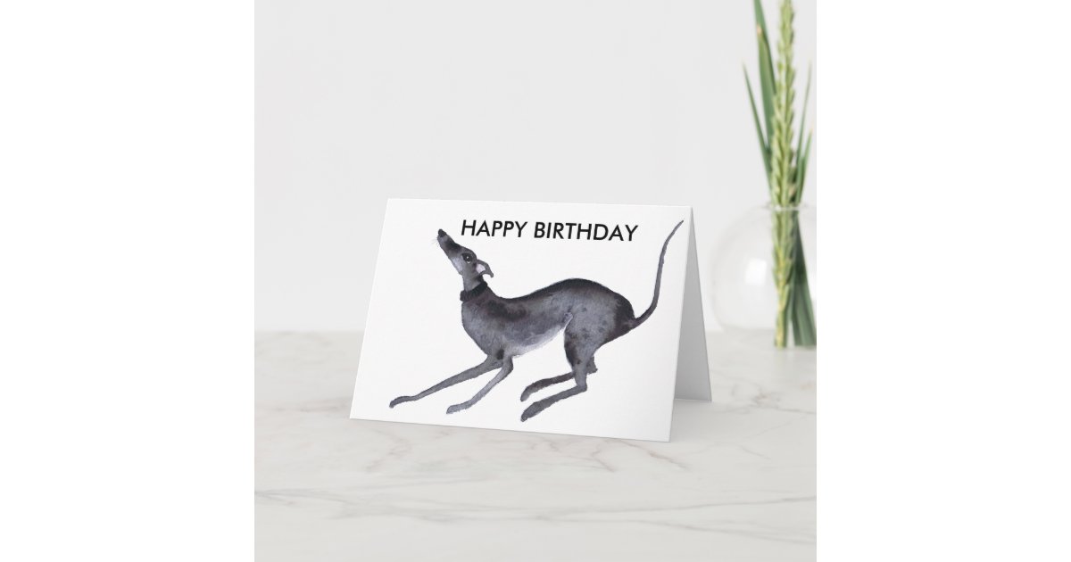GREYHOUND HAPPY BIRTHDAY CARD | Zazzle