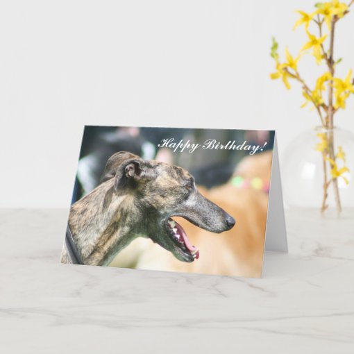 Greyhound Happy Birthday greeting card | Zazzle