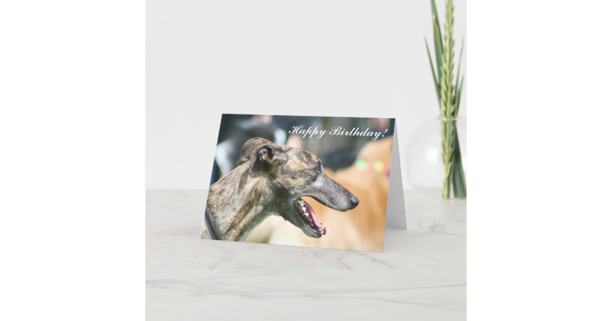 Greyhound Happy Birthday greeting card | Zazzle