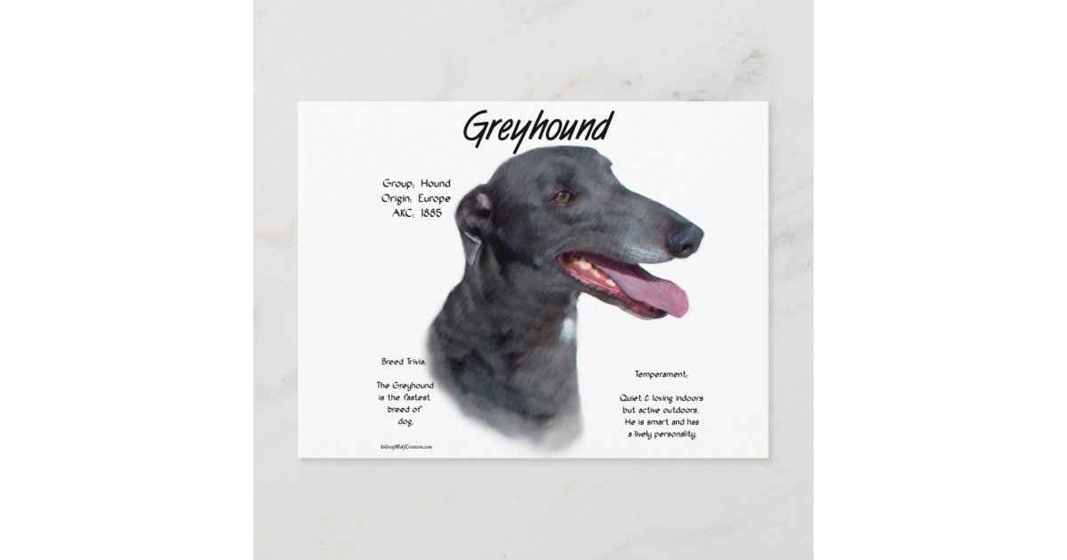 Greyhound History Design Postcard | Zazzle
