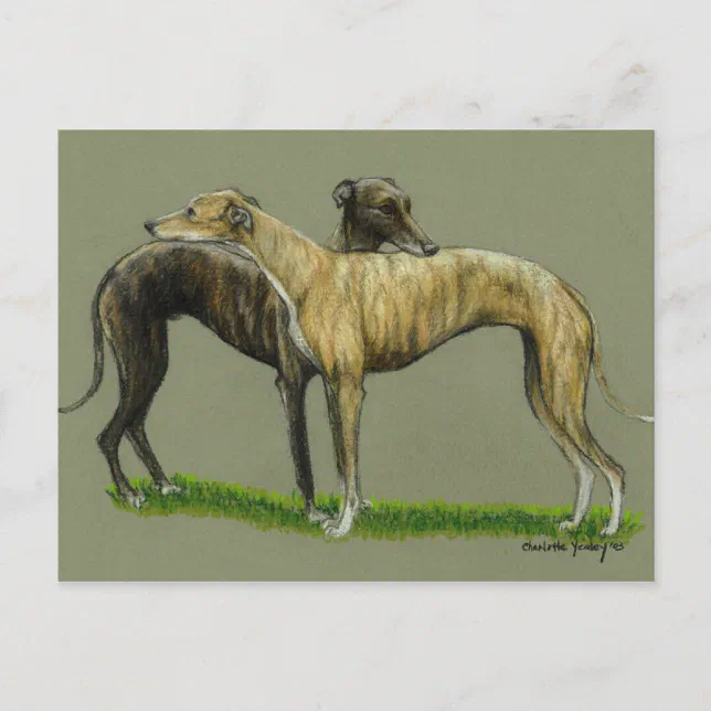 "Greyhound Hug" Dog Art Postcard | Zazzle
