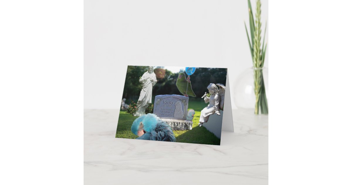 Grieving pet owner sympathy Greeting Card birds | Zazzle