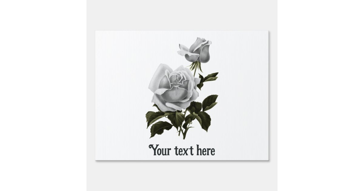 Grimoire White Rose Sign | Zazzle