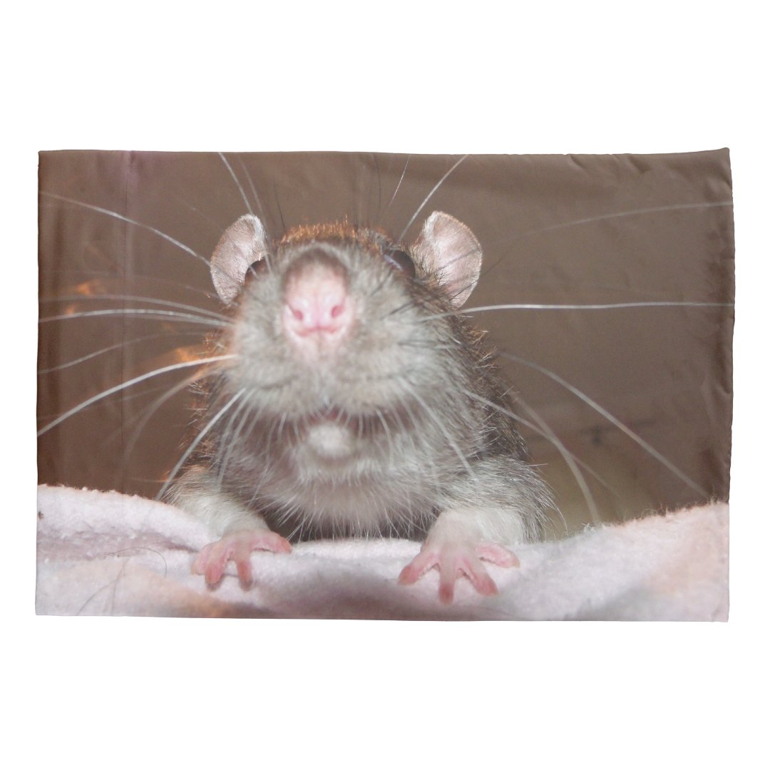 grinning rat pillow case | Zazzle