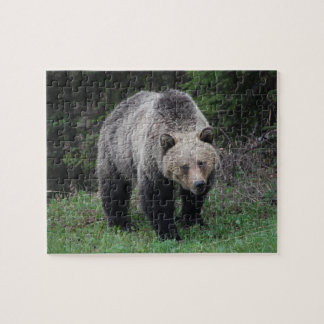 Grizzly Bear Jigsaw Puzzles | Zazzle