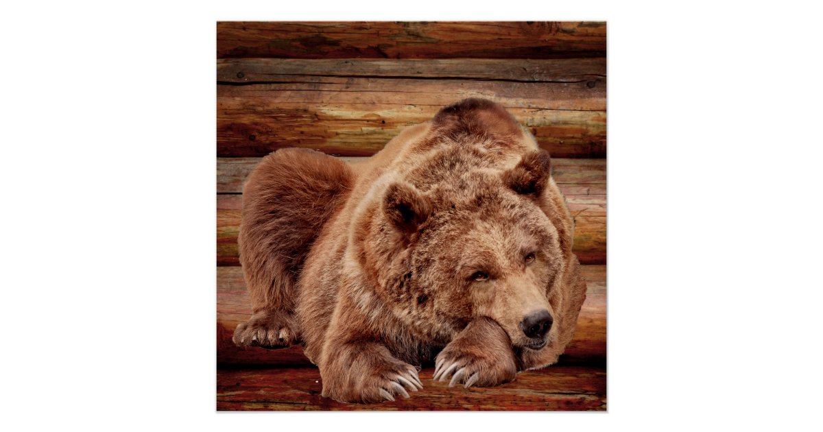 GRIZZLY BEAR RESTING LOG CABIN POSTERS | Zazzle