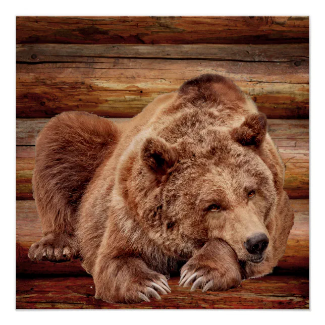 GRIZZLY BEAR RESTING LOG CABIN POSTERS | Zazzle