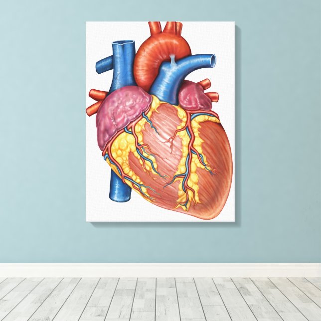 human heart pictures to print