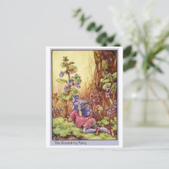Ground Ivy Fairy Postcard | Zazzle