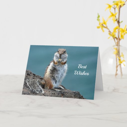 Ground Squirrel Congratulations Wedding Card | Zazzle