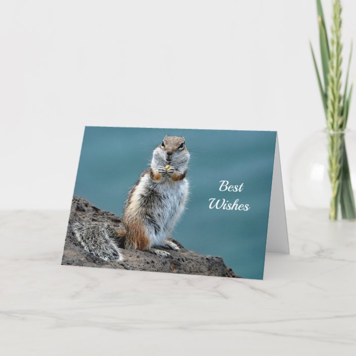 Ground Squirrel Congratulations Wedding Card | Zazzle.com