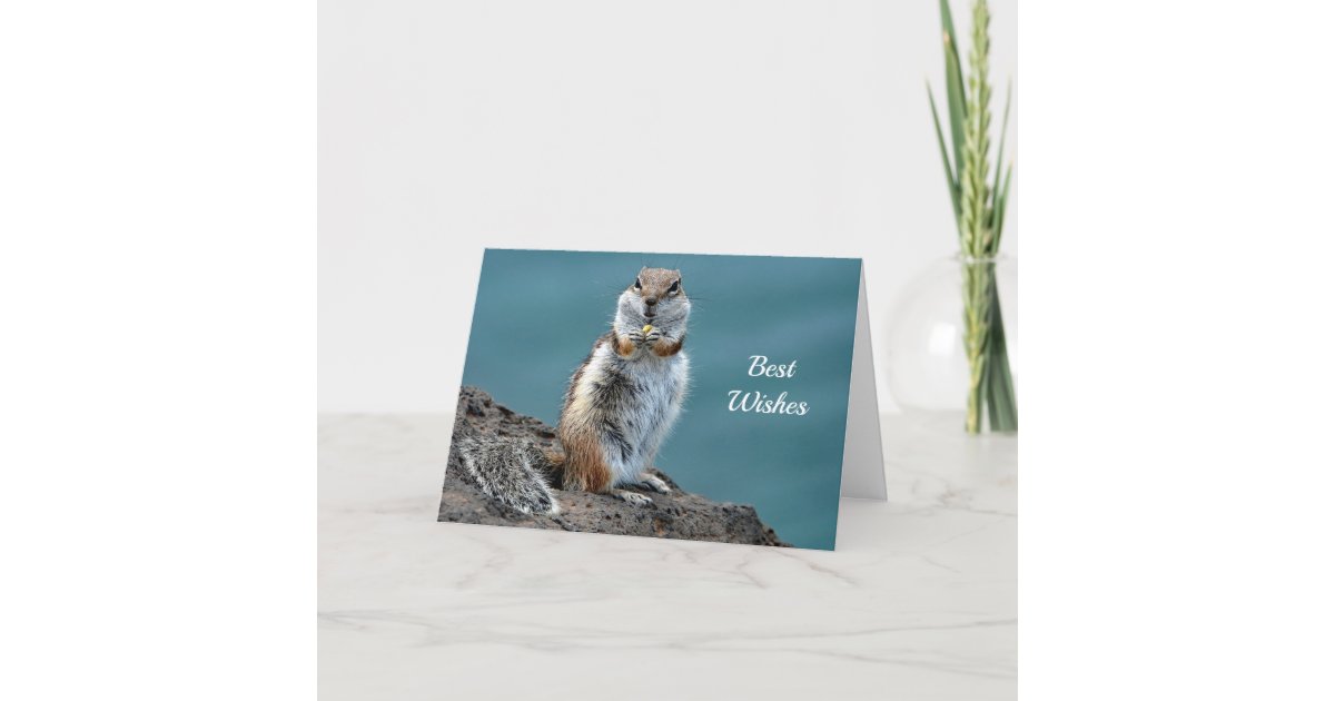 Ground Squirrel Congratulations Wedding Card | Zazzle