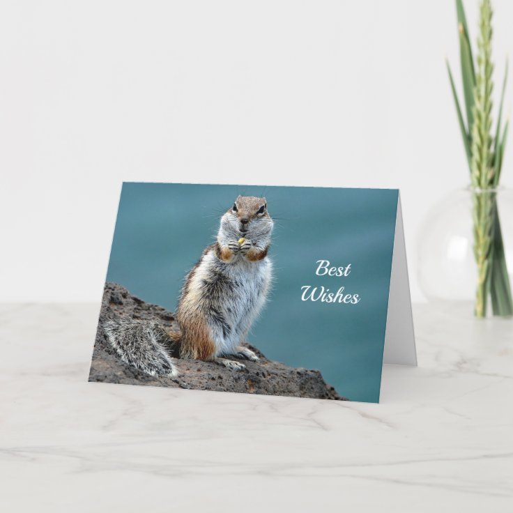 Ground Squirrel Congratulations Wedding Card | Zazzle