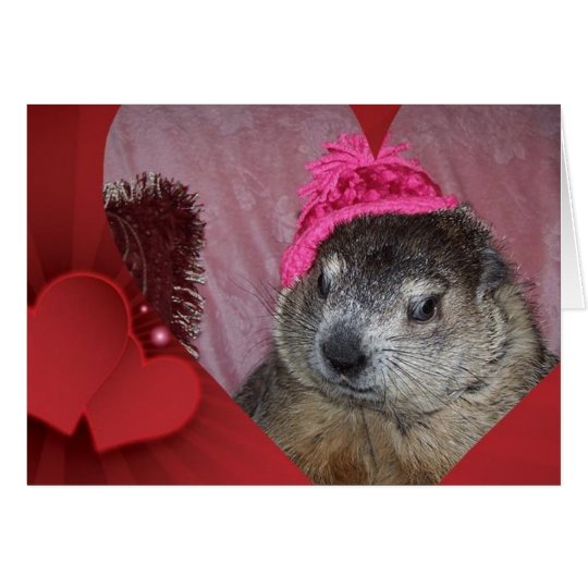 Groundhog, Clara Valentine's Day Card | Zazzle.com