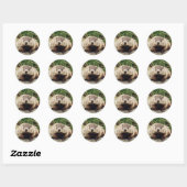 Groundhog Classic Round Sticker | Zazzle